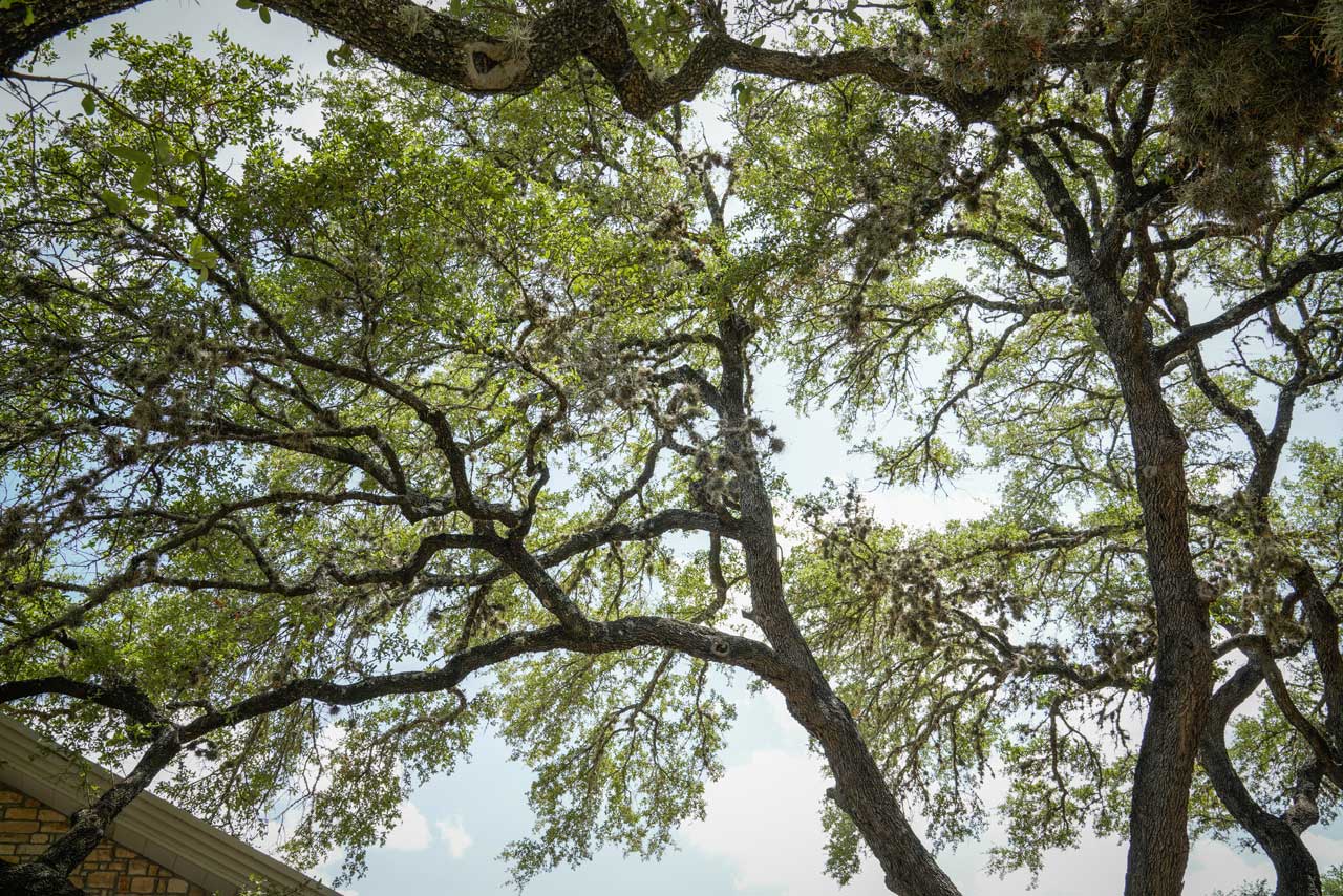 Building & Grounds – Wimberley Presbyterian Church